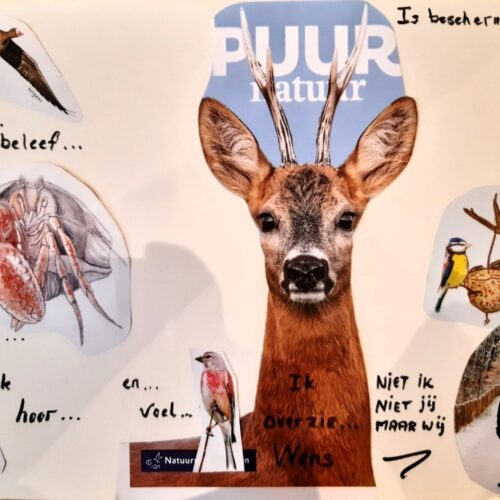 Mantelzorgwaardering 2025 - Mens en Welzijn Voorst